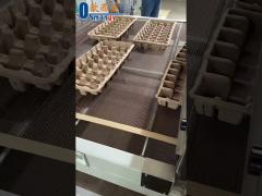 Duurzame productie Eco-bewust ontwerp 14 fase microwave droger voor pulp zeevruchten
