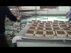 Microwave Drying Machine Line/Intelligent Temperature Control/Suitable for Paper plastic\Paper tray