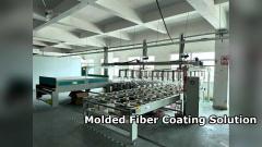 Automatic Spray Coating Machine for Molds