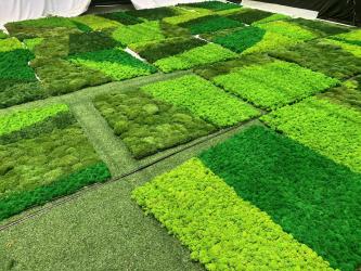 China Factory - Wuxi Tongyuan Cultural & Creative Co., Ltd.