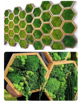 China OEM Service Accepted Customization Preserved Moss Frame Wall Painting Hanging Frame for Home Decoration for sale