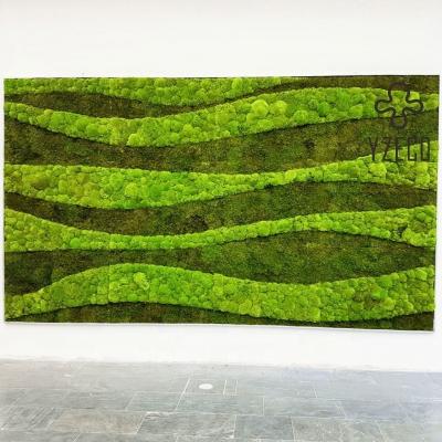 China 100% natuurlijke echte mos 3D muurkunst voor kantoordecoratie op maat en klaargemaakt Te koop