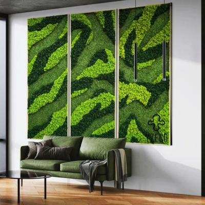 China 100% natuurlijke echte mos 3D muurkunst voor kantoordecoratie op maat en klaargemaakt Te koop
