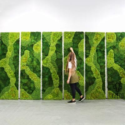 China 100% natuurlijke echte mos 3D muurkunst voor kantoordecoratie op maat en klaargemaakt Te koop