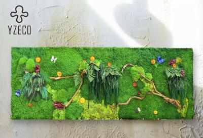 Cina OEM ODM accettato Verde conservato muschio Arte murale per la decorazione artistica 5-8 anni Tempo di vita in vendita