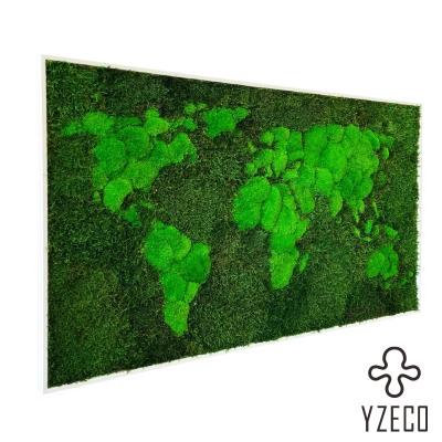 Cina OEM ODM accettato Verde conservato muschio Arte murale per la decorazione artistica 5-8 anni Tempo di vita in vendita
