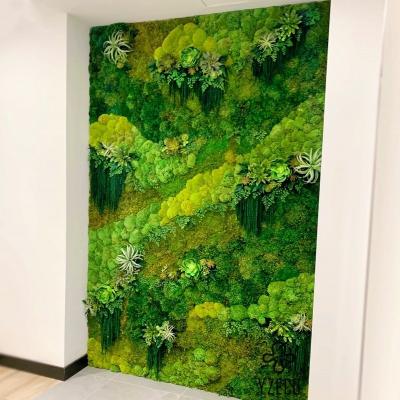 Cina OEM ODM accettato Verde conservato muschio Arte murale per la decorazione artistica 5-8 anni Tempo di vita in vendita