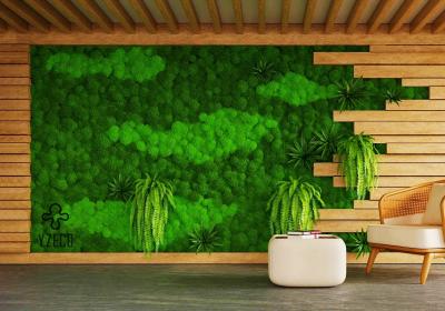 Cina OEM ODM accettato Verde conservato muschio Arte murale per la decorazione artistica 5-8 anni Tempo di vita in vendita