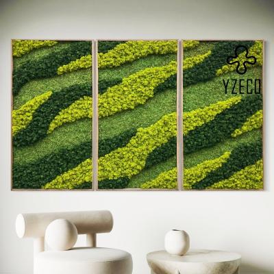 China Gestabiliseerde kunstmatige planten Mooswand voor bedrijfsinterieurdecoratie in aangepaste kleuren Te koop