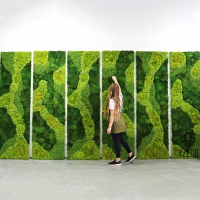 China Gestabiliseerde kunstmatige planten Mooswand voor bedrijfsinterieurdecoratie in aangepaste kleuren Te koop