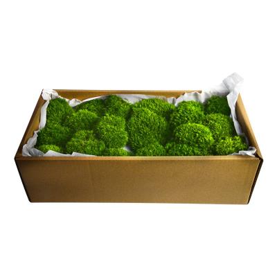 Cina Immortal Moss Ingegneria paesaggistica morbido e durevole per la parete della pianta di dimensioni personalizzate in vendita
