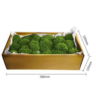 Cina Immortal Moss Ingegneria paesaggistica morbido e durevole per la parete della pianta di dimensioni personalizzate in vendita
