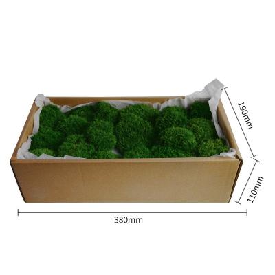 Cina Immortal Moss Ingegneria paesaggistica morbido e durevole per la parete della pianta di dimensioni personalizzate in vendita
