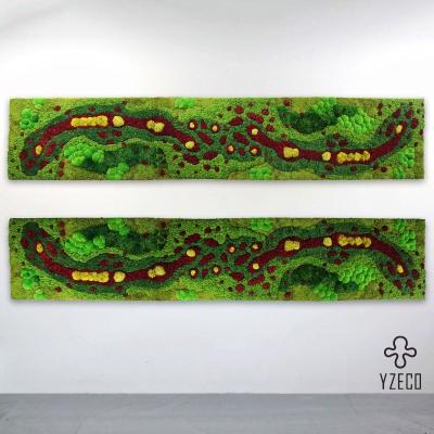 China Parede de musgo de planta simulada Parede preservada 100% musgo natural real para fundo interior à venda