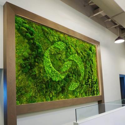 China Parede de musgo de planta simulada Parede preservada 100% musgo natural real para fundo interior à venda