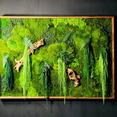China Parede de musgo de planta simulada Parede preservada 100% musgo natural real para fundo interior à venda