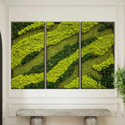 China Parede de musgo de planta simulada Parede preservada 100% musgo natural real para fundo interior à venda