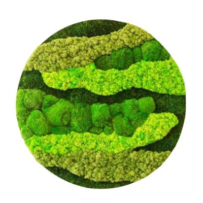 Cina Pannelli murali multicolori a forma rotonda di muschio per decorazioni per uffici con disegno personalizzato in vendita
