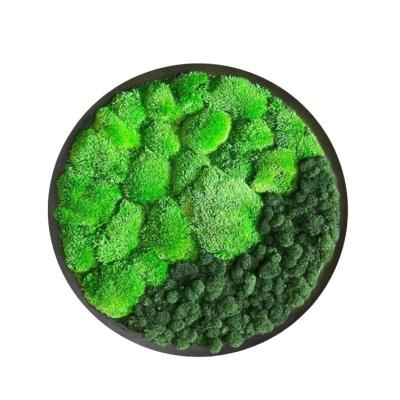 Cina Pannelli murali multicolori a forma rotonda di muschio per decorazioni per uffici con disegno personalizzato in vendita