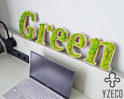 China Business Logo Green Moss Sign Letter Logo For Wall Decor Custom Color Accepts OEM ODM for sale