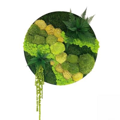 Cina Salotto per l'occasione del Ringraziamento Stabilizzato con muschio pannelli di arte murale con muschio verde rotondo in vendita