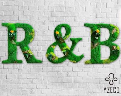 Cina Pubblicità all'interno Word Immortal Moss Logo Office Sign con effetto luce personalizzabile in vendita