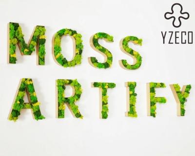 Cina Pubblicità all'interno Word Immortal Moss Logo Office Sign con effetto luce personalizzabile in vendita