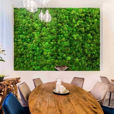 China Office Indoor Artificial Green Plant Moss Wall In Customized Colors For Landscaping for sale