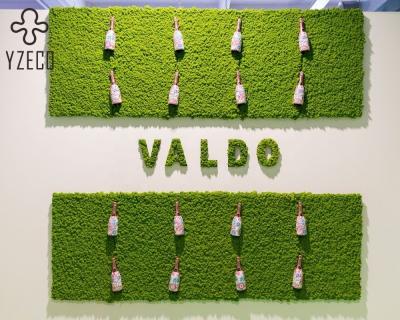 Cina Effetti luminosi personalizzati Lettere di muschio 3D Segno murale per la decorazione interna personalizzato in vendita