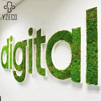 Cina Effetti luminosi personalizzati Lettere di muschio 3D Segno murale per la decorazione interna personalizzato in vendita