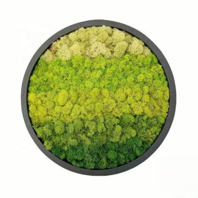 Customized Logo Accepted Moss Panel for Indoor Greenery Wall Hanging Decor