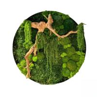 China Customized Logo Accepted Moss Panel for Indoor Greenery Wall Hanging Decor for sale