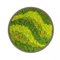 China Customized Logo Accepted Moss Panel for Indoor Greenery Wall Hanging Decor for sale