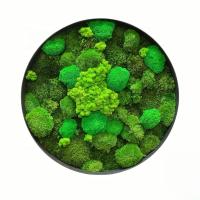 China Customized Logo Accepted Moss Panel for Indoor Greenery Wall Hanging Decor for sale