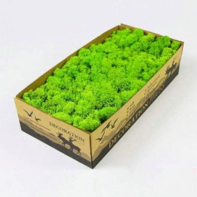 Cina 500G pannello di muschio di renna naturale per la decorazione interna in vendita