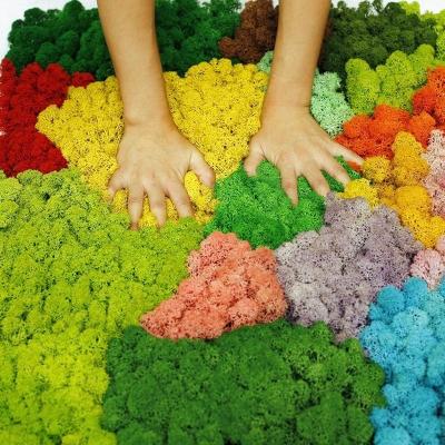 Cina 500G pannello di muschio di renna naturale per la decorazione interna in vendita