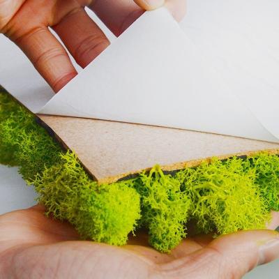 China Gestabiliseerd geconserveerd lichen rendiermoos paneel voor kantoordecoratie Op maat gemaakt 100*100cm Te koop