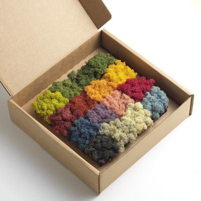 China Gestabiliseerd geconserveerd lichen rendiermoos paneel voor kantoordecoratie Op maat gemaakt 100*100cm Te koop