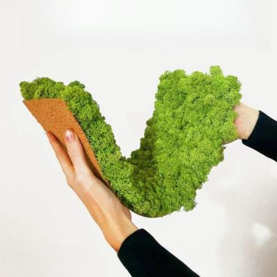 China Terug naar school Gelegenheid Gepersonaliseerd logo Geaccepteerd Natuurlijk bewaard mosblad voor cadeautjes Te koop