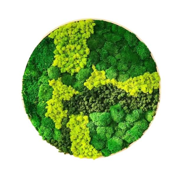 Quality Wood Photo Artificial Moss Wall Panel Frame For Background Decoration Customized Colors for sale