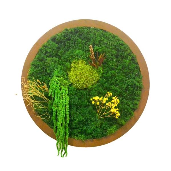 Quality Customized Logo Accepted Round Moss And Cork Artificial Moss Wall For Room for sale