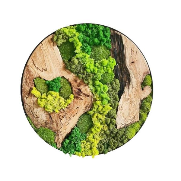 Quality Customized Logo Accepted Round Moss And Cork Artificial Moss Wall For Room for sale