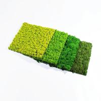 China Customized Logo Accepted Permanent Stabilized Reindeer Moss Wall Panel For Decor for sale