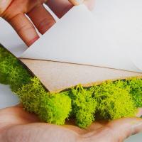 China Customized Logo Accepted Permanent Stabilized Reindeer Moss Wall Panel For Decor for sale