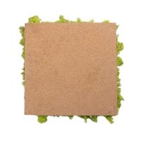 China Customized Logo Accepted Permanent Stabilized Reindeer Moss Wall Panel For Decor for sale