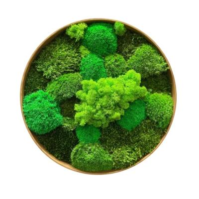 China Multicolore muismuurdecoratie voor de Aardedag Te koop