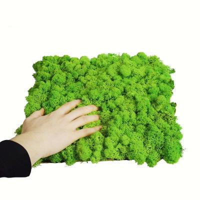 Cina Colorato pannello di muschio stabilizzato scelta ecologica per l'occasione del Ringraziamento in vendita