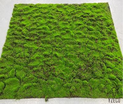 Cina 1M*1M personalizzabile con muschio artificiale, erba, pannello per la decorazione del paesaggio in vendita