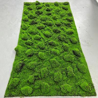 Cina Parete artificiale di erba verde di muschio ecologico e non tossico in vendita