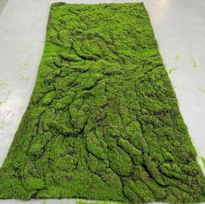 Cina Filato di seta Verde Falsate Muschio Piana 1M*1M Dimensione per la decorazione del paesaggio domestico in vendita